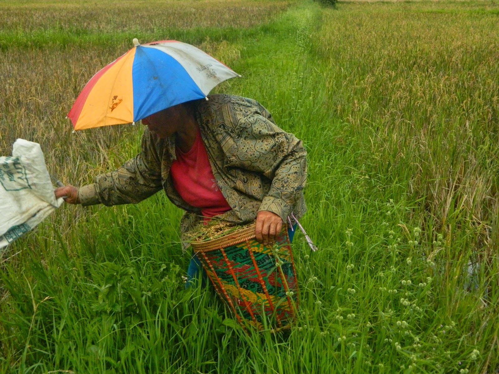 Dayang's World: KELABIT NAME-CHANGING TRADITION (ADAT MEKAA’ NGADAN ...