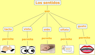 Mundo Tecnológico: Mi primer mapa conceptual: Los 5 sentidos