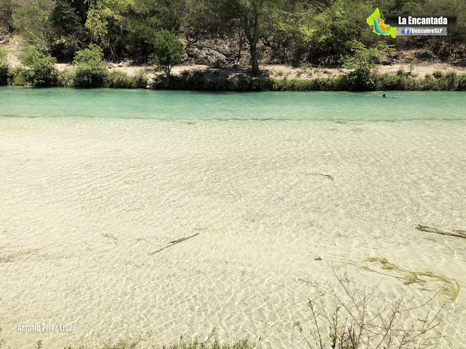 Descubre SLP: Río Santa María (La Encantada)