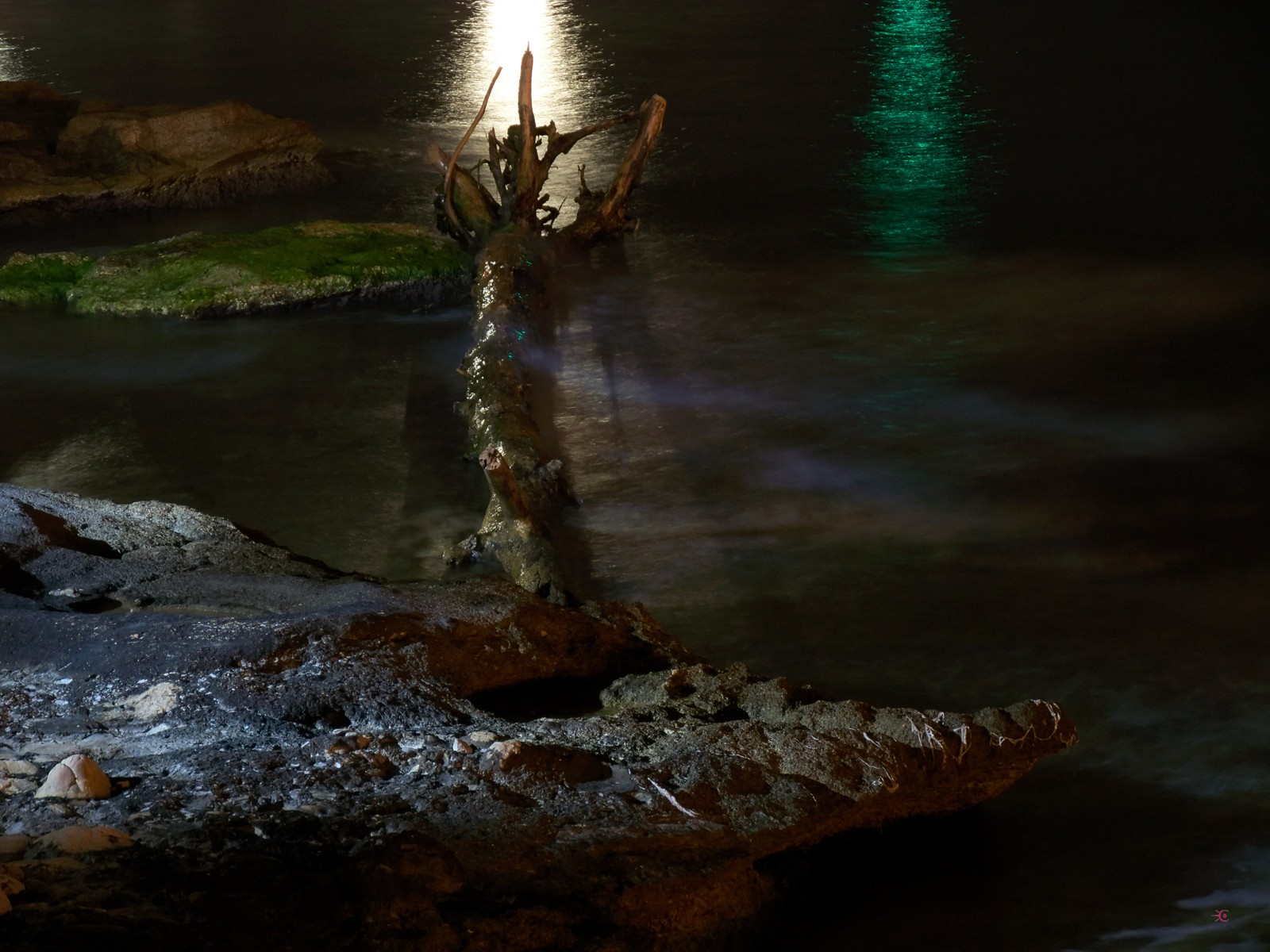 ALICANTE SIEMPRE: CRONOLOGÍA DE UN TRONCO EMBARRANCADO