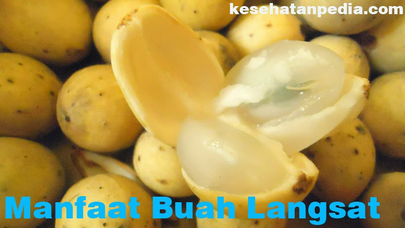 Manfaat Buah Langsat bagi Kesehatan dan Kandungan Gizinya - kesehatanpedia