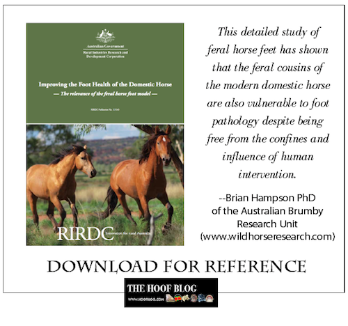 Fran Jurga`s Hoofcare + Lameness: Wild Horse Research Through the Lens ...