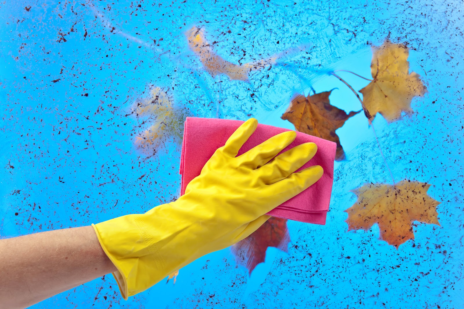 Get ready for fall with these home cleaning tips