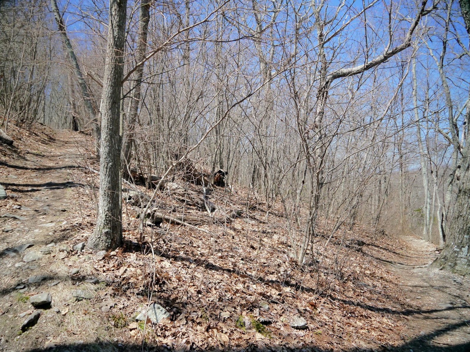 American Travel Journal: Wildcat Ridge Trailhead to Riprap Trailhead ...