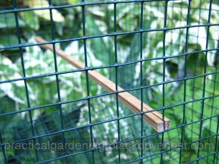 Practical Gardening: Homemade Bird Trap - Making a Perch for the Cage