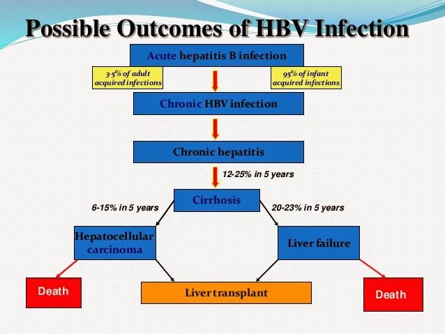 Hepatitis B virus testing flowchart