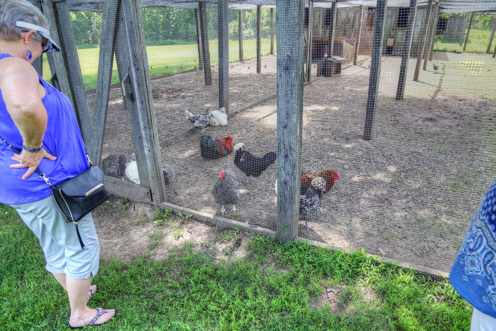 John and Sigrid's Adventures: Watkins Mill State Park - 6/24/2014