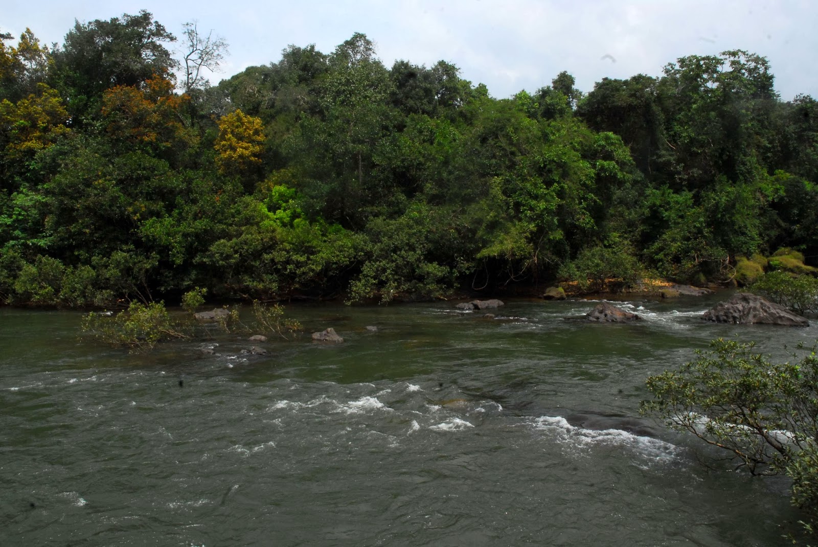 Hebri - JungleKey.in Image