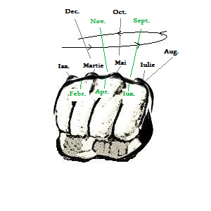proParinti: Cum retinem lunile anului care au 31 de zile? (Regula pumnului)