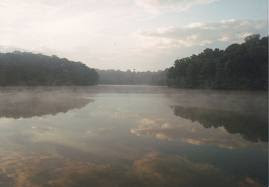 the importance of being foolish...: The Springton Reservoir: A ...