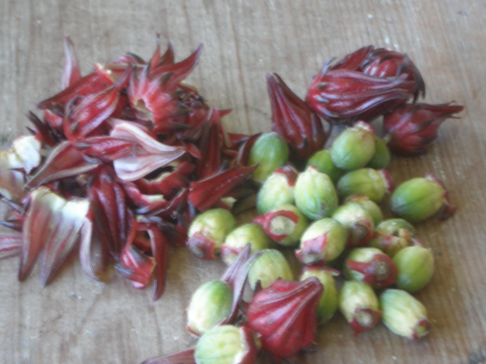 The InTolerant Chef ™: Roasted Ruby Fruits