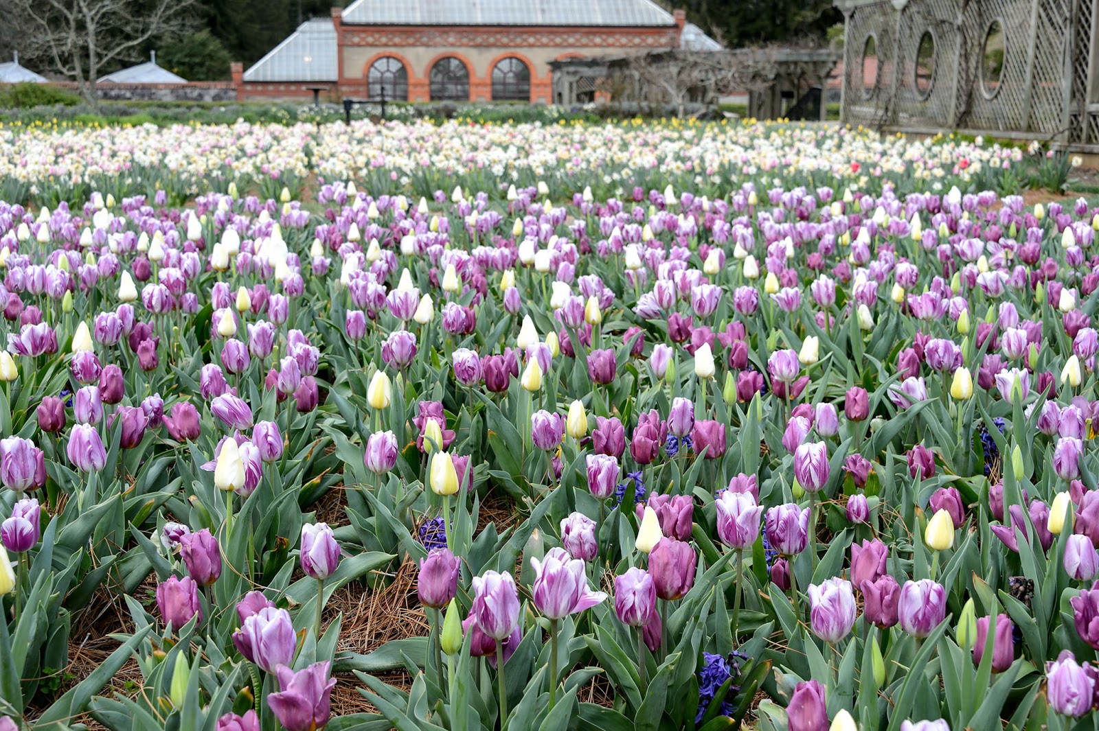 Bubba's Garage: April 2017