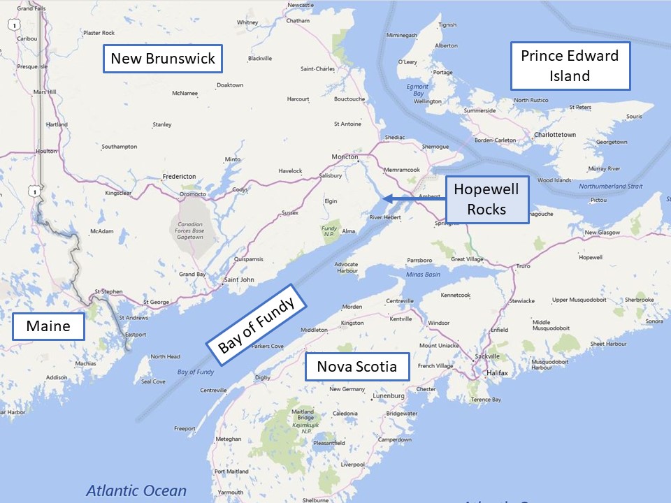 The Switchel Traveler: Hopewell Rocks