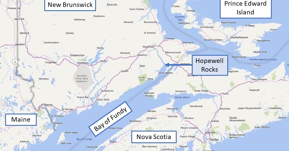 The Switchel Traveler: Hopewell Rocks