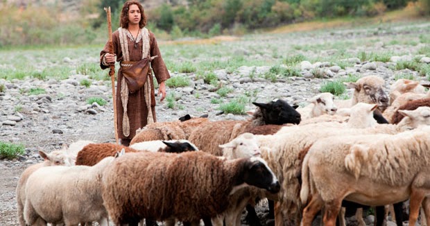 PADRE JOÃO CARLOS - MEDITAÇÃO DA PALAVRA: As três atitudes dos pastores
