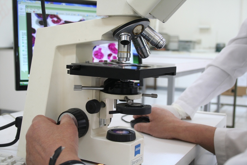 Citologìa de Cervix