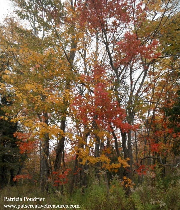 Pat's Creative Treasures