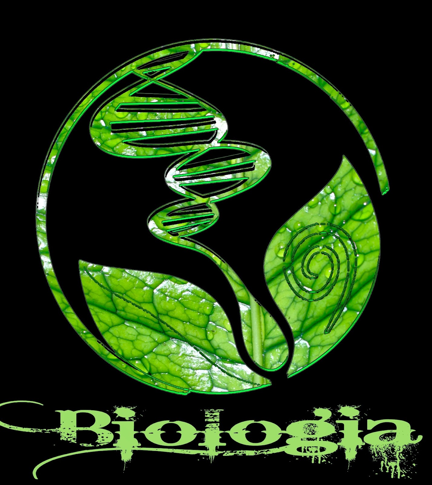 Biologia e Ciências na Cabeça!: INTRODUÇÃO À BIOLOGIA