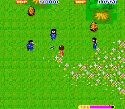 VGJUNK: THE NINJA (MASTER SYSTEM)