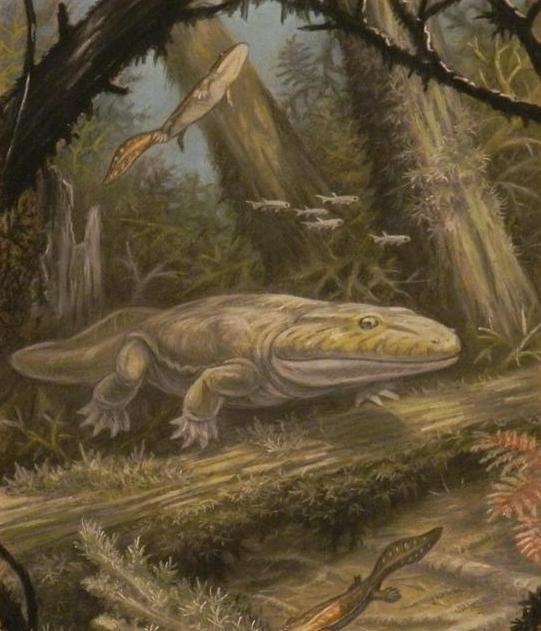 Blog de la Vida Prehistórica: Ichthyostega