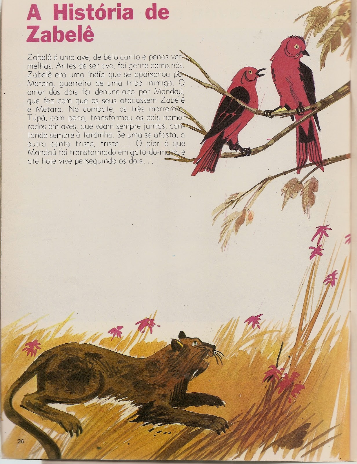 Municipalismo por Newton Thaumaturgo: A LENDA DO ZABELÊ