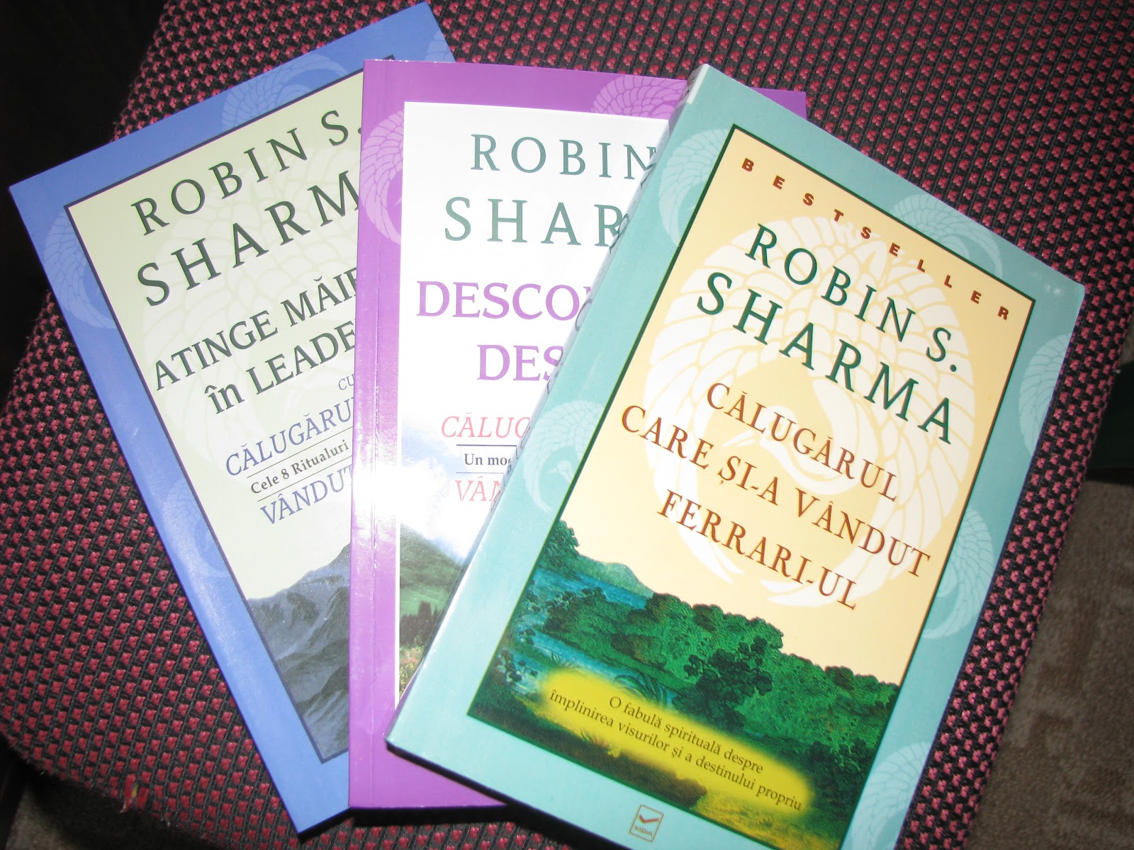 VISE DULCI cu Cosmy: Cartile lui Robin Sharma din biblioteca mea
