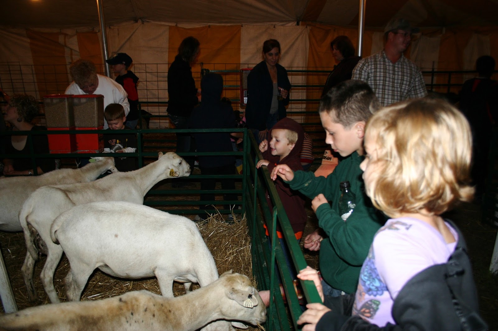 The Missouri Mom: Behind my Lense at the East Perry Community Fair in ...