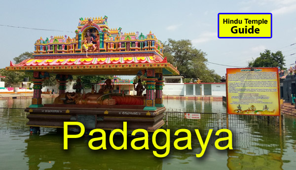 Pithapuram Kukkuteswara Swamy Temple Padagaya History Timings Accommodation