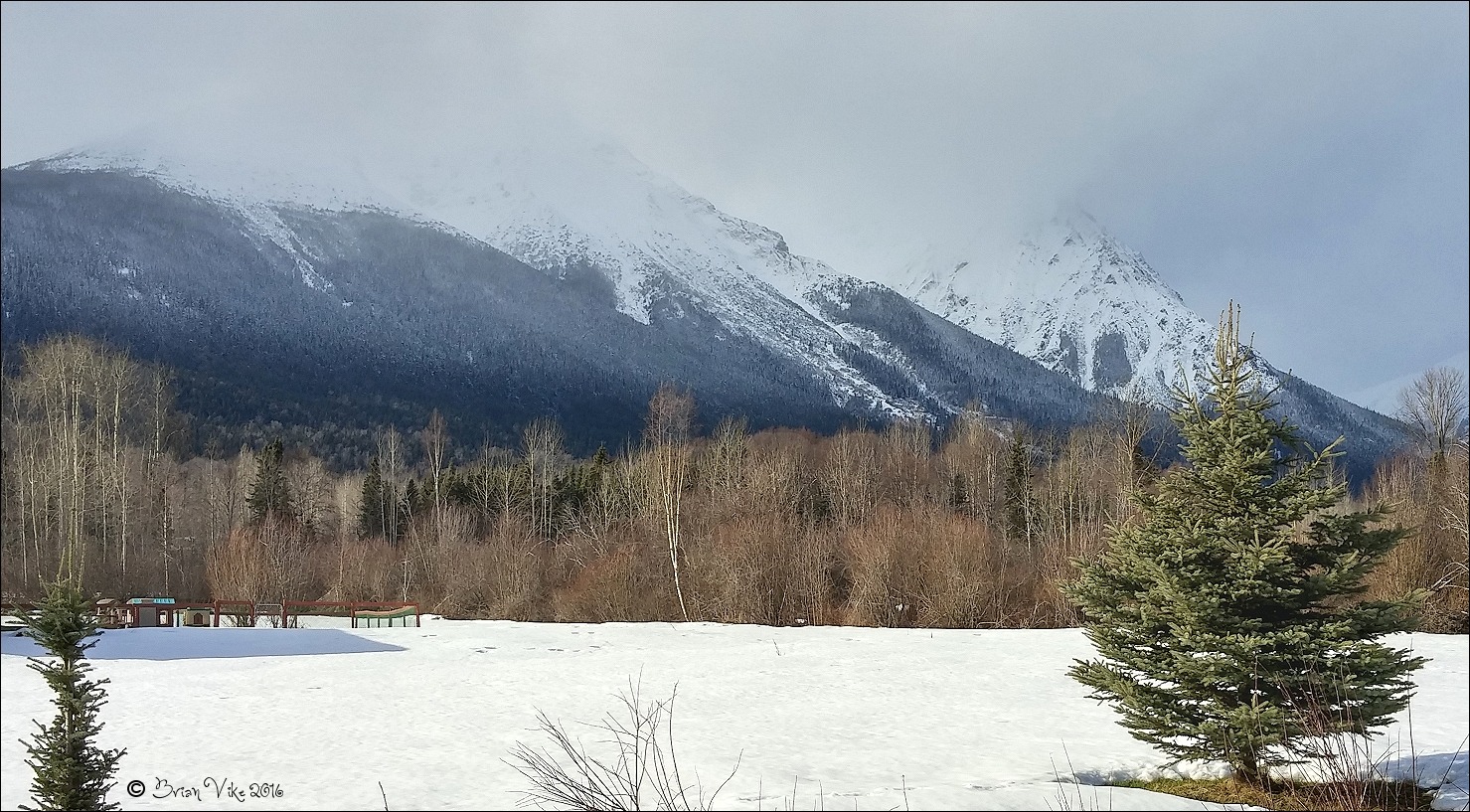 Northern Interior British Columbia: Winter's Snowfall 3 On The ...