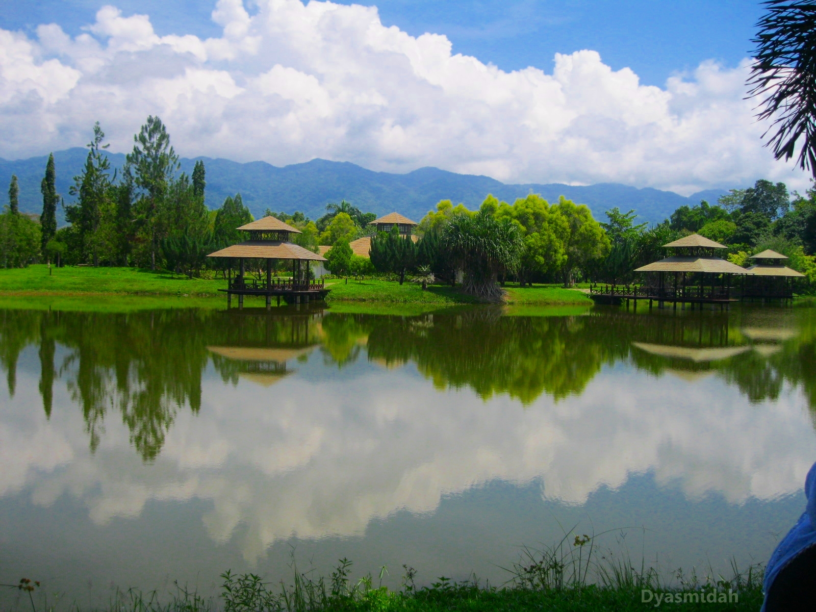 :: Trip to Tenom | .a little dream.