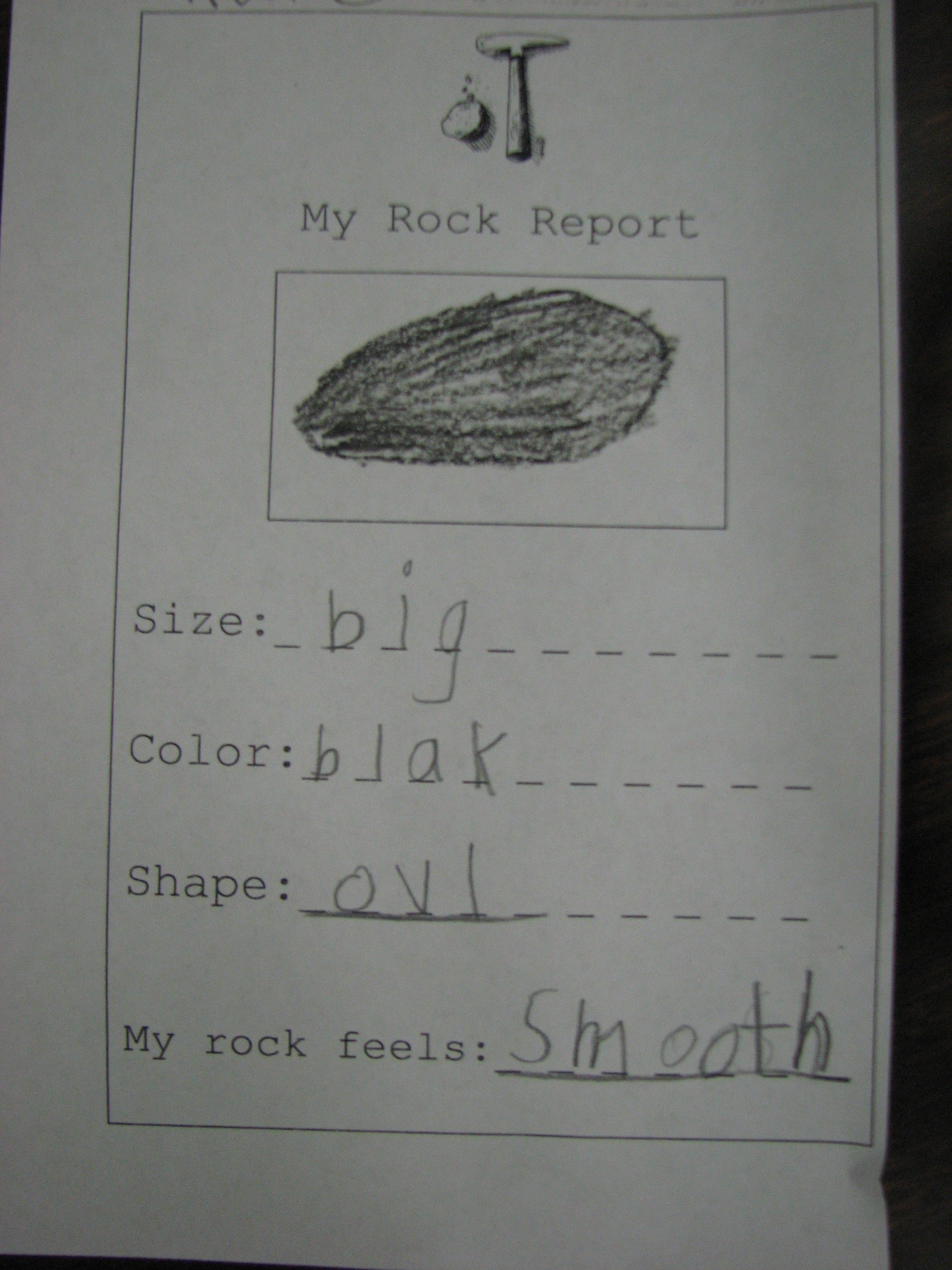 First Grade Randomness: Rocks and Soil Exploration
