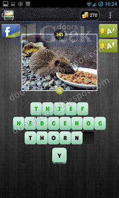 Words in a Pic - Level 241 ~ Doors Geek