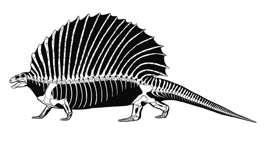 Blog de la Vida Prehistórica: Edaphosaurus