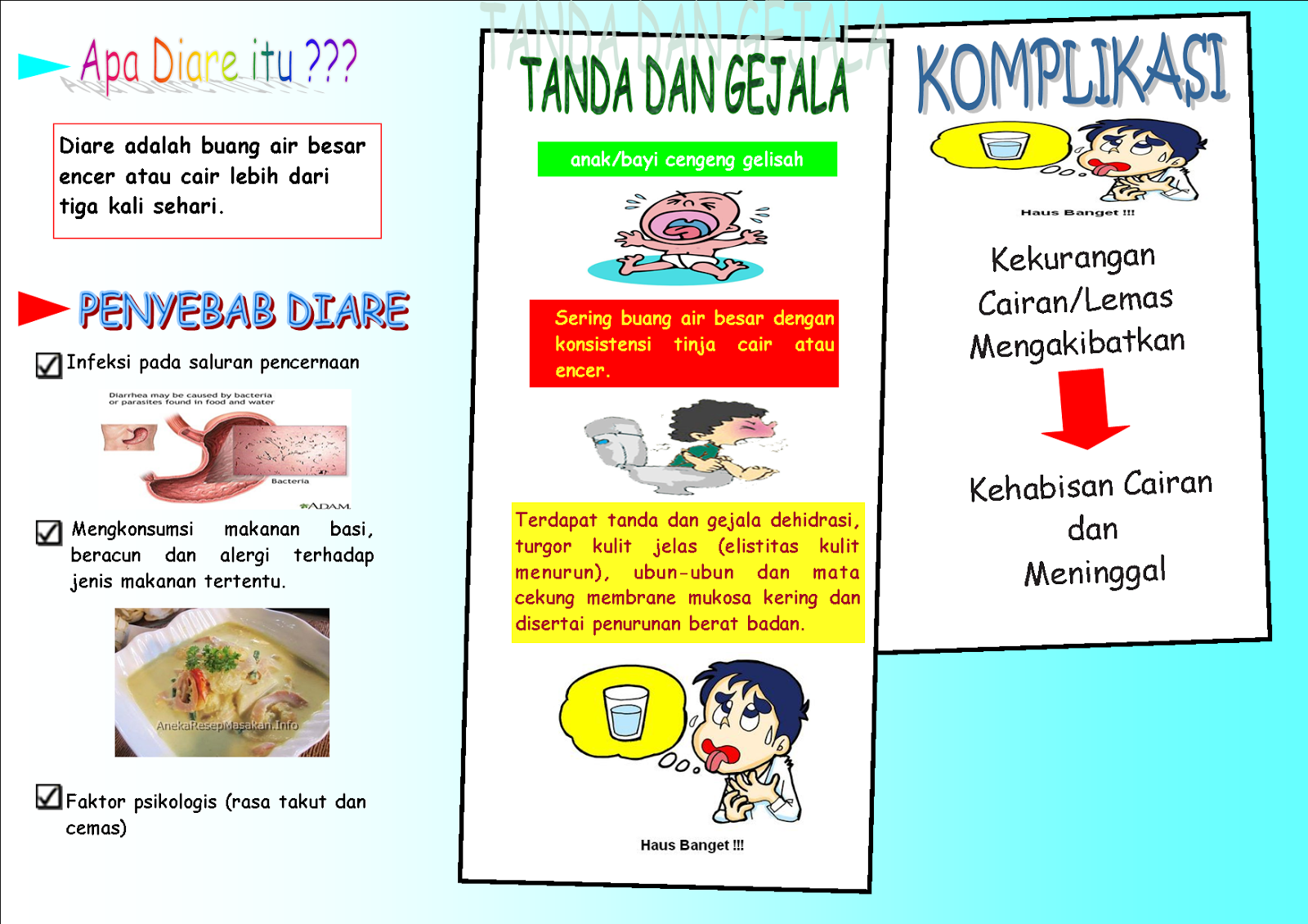 LEAFLET DIARE | Dedbol