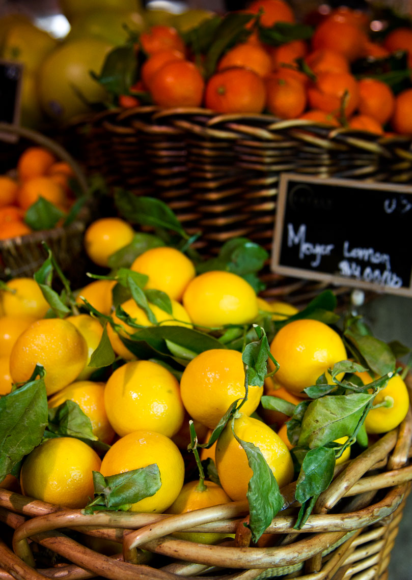 Morgan Ione Photography: Citrus Season!
