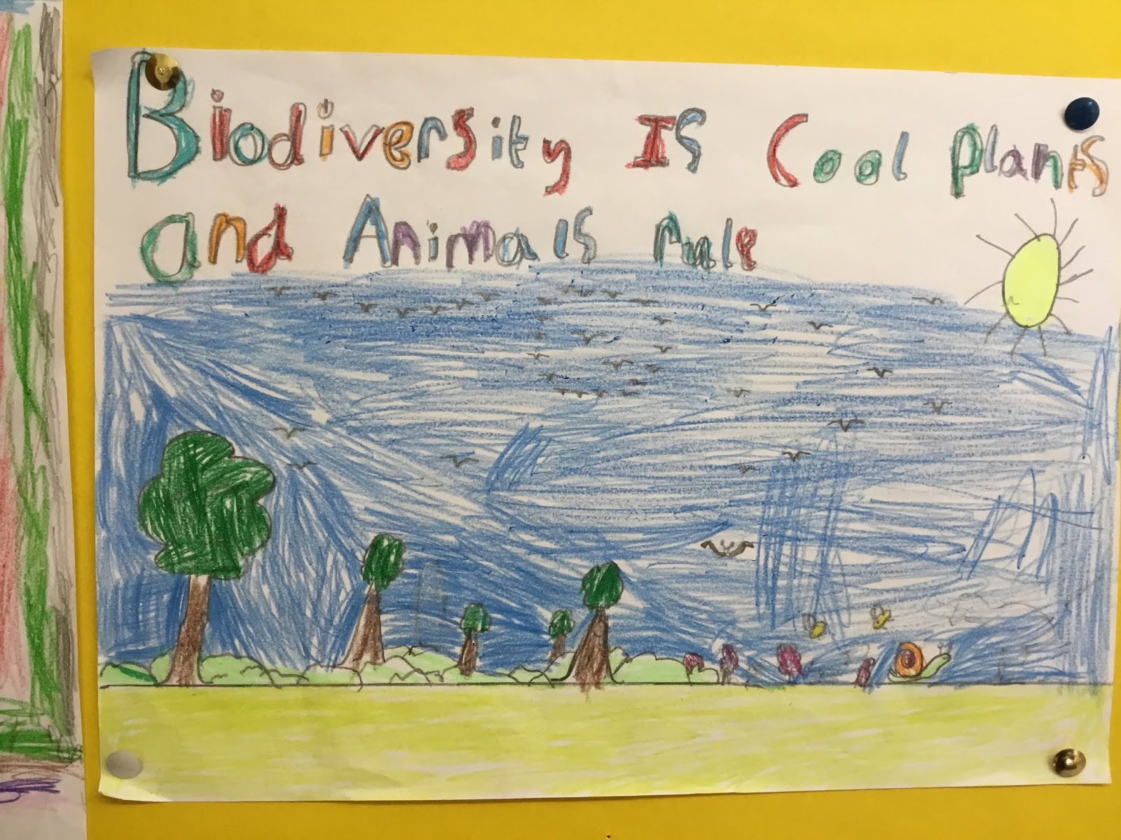 Kilrickle National School: Biodiversity Slogan Competition
