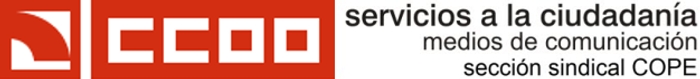 Sección Sindical CCOO-COPE: CCOO publica un Estatuto de los ...