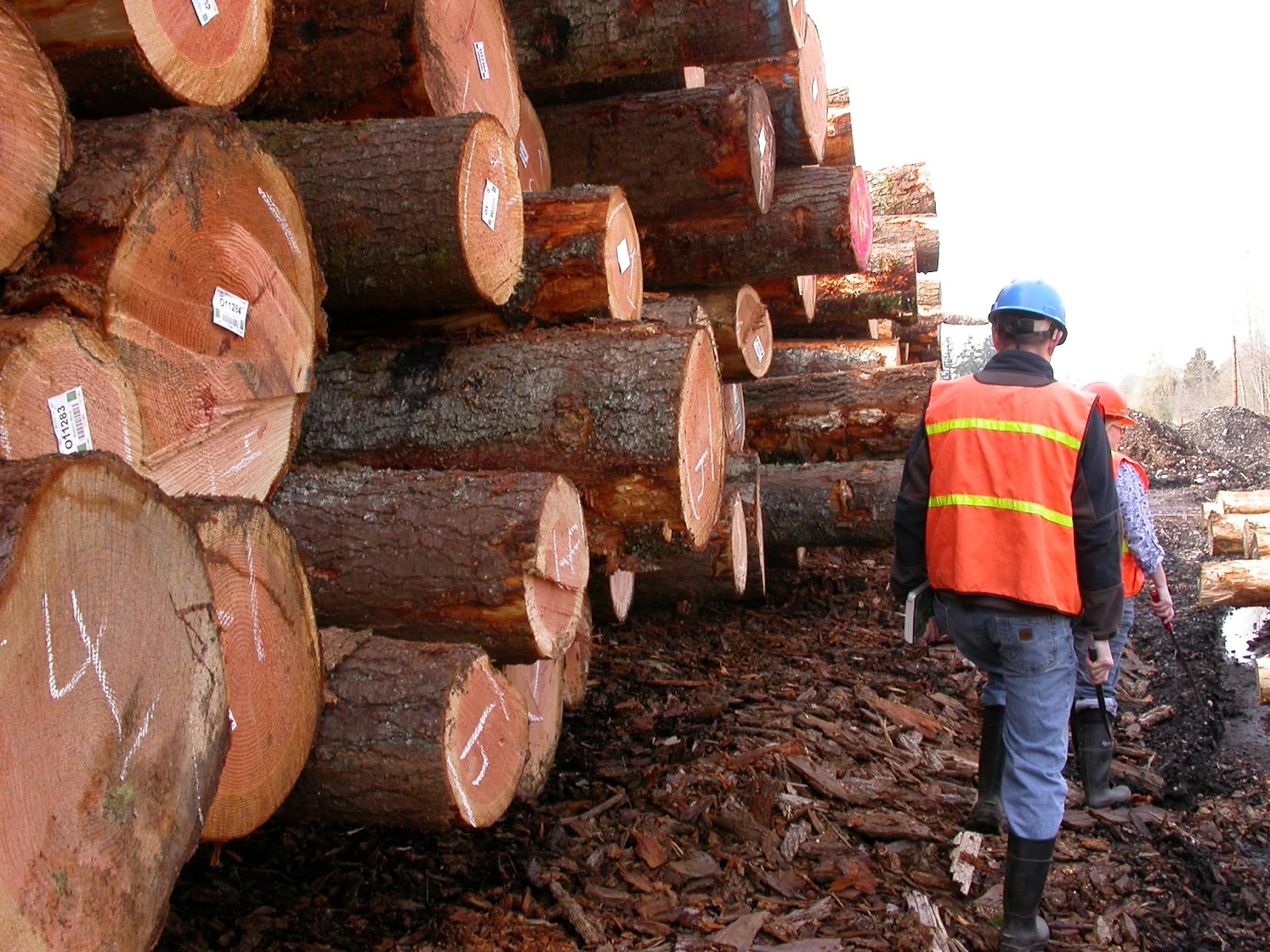 WSDA AgBriefs: Pest-free logs to China, working safely are top ...