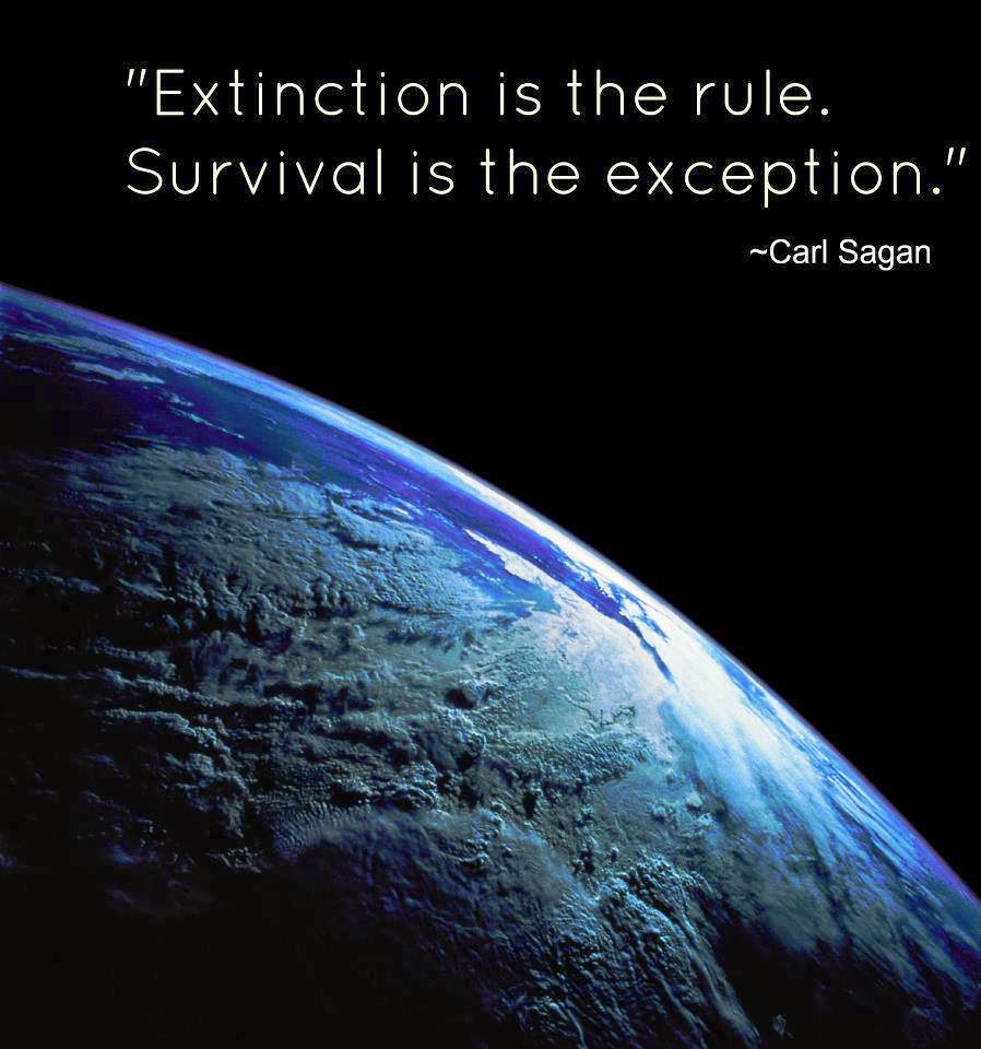 under the microscope: "No one is irreplaceable."