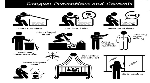 FIGHT AGAINST DENGUE: Dengue:Types,Symptoms,Prevention And Stats