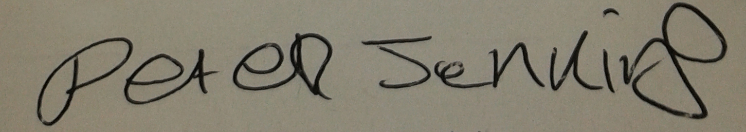 Peter Jenkins, Cowboy Builder Operating in Swindon