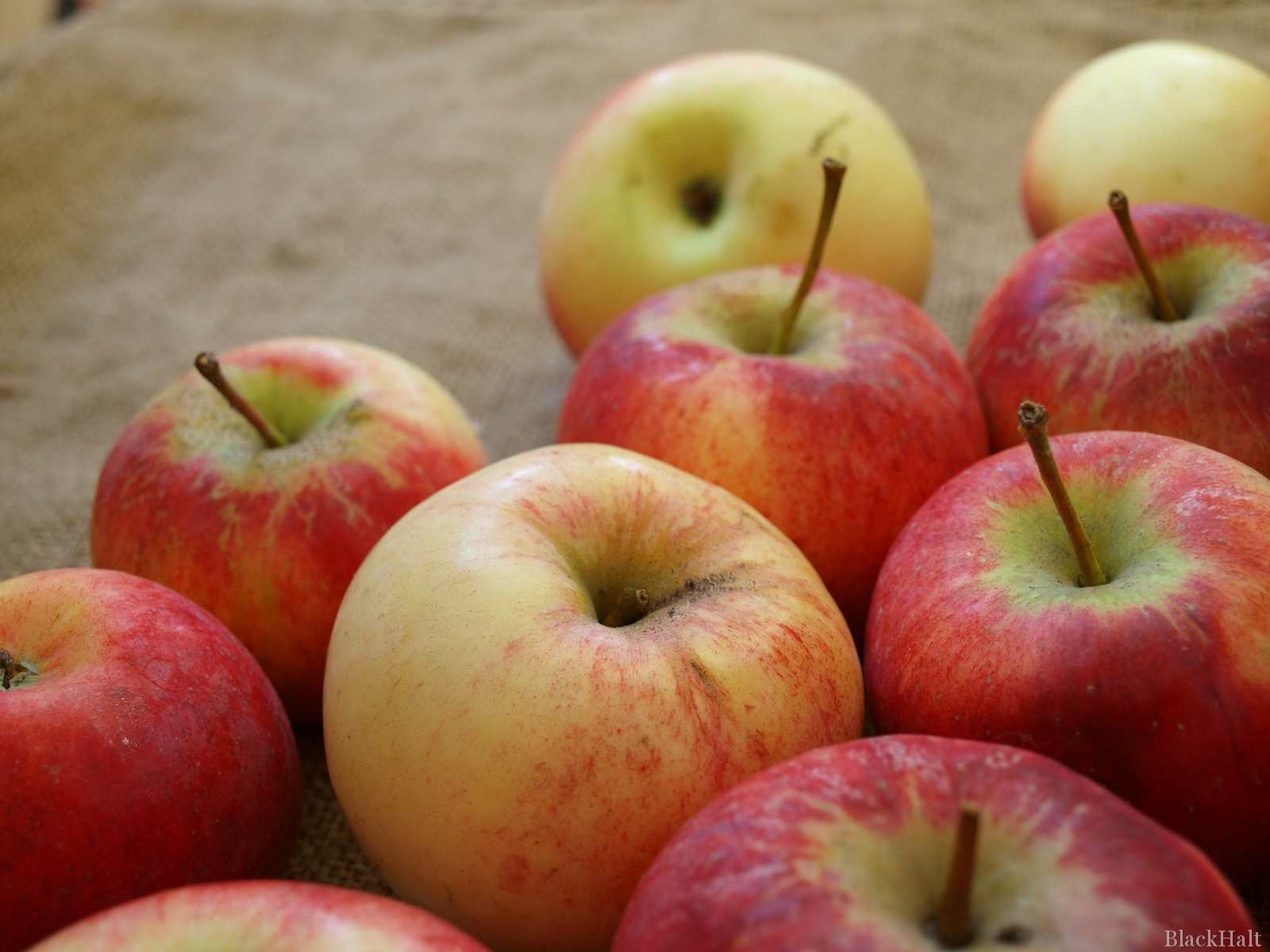 Rudens 5 - PhotoBlogSite