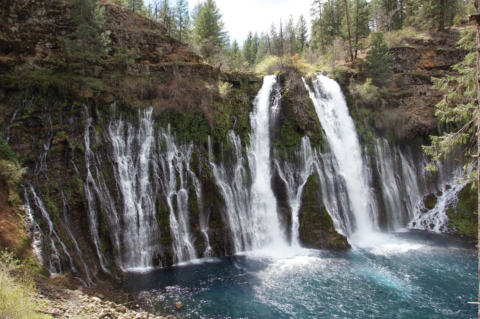 Mamma Quail Hiking California : More than a Stop on the Way: Burney Falls
