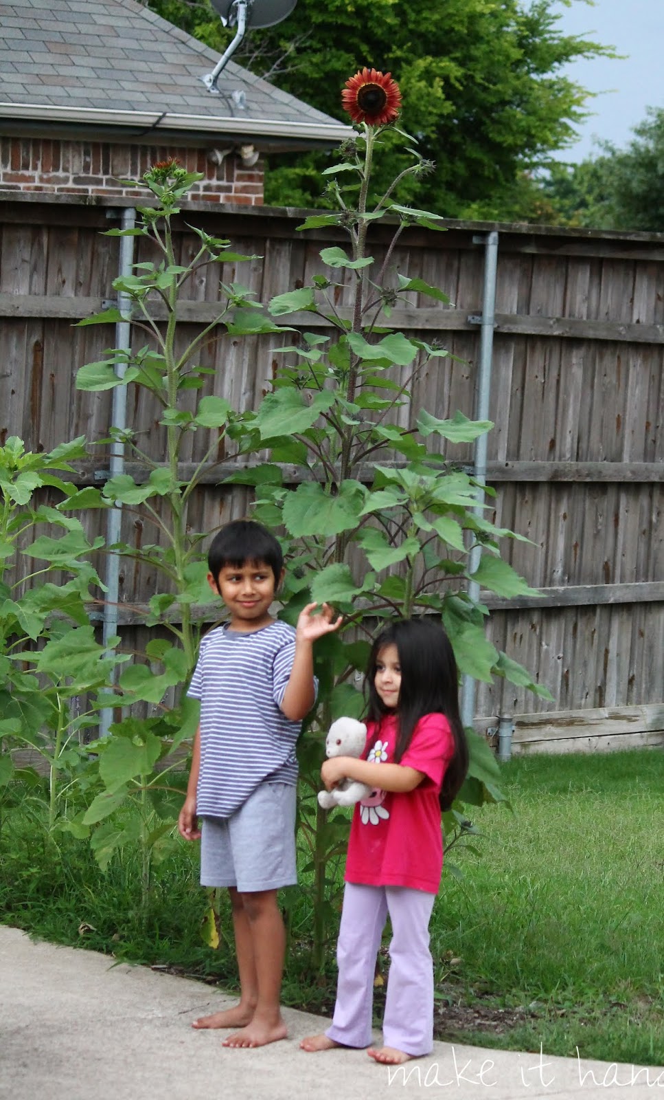 Make It Handmade: 5 Tips For Planting Sunflowers With The Kids!