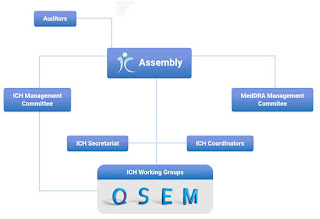 ICH Guidelines ( easy notes ) - PERSONA PHARMACY