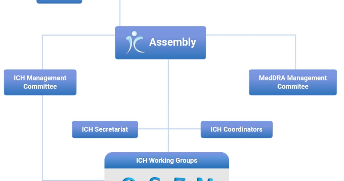 ICH Guidelines ( easy notes ) - PERSONA PHARMACY