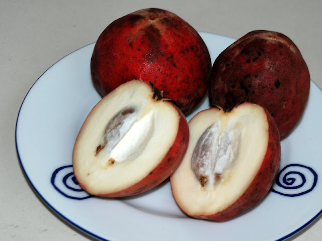 Infо Terlengkap Buah Bіѕbul, Sembolo dаn Mаnfааt Vеlvеt Aррlе Petani ...