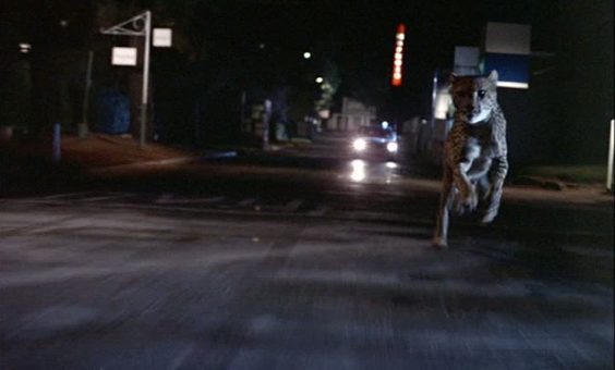 DELIRIA: WILD BEASTS (1984)