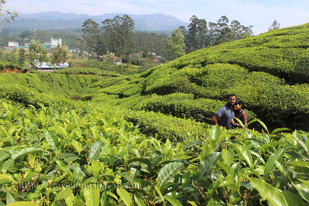 Lakshmi Hills Trek & Kanan Devan Tea Plantation (Idukki - Kerala) | My ...