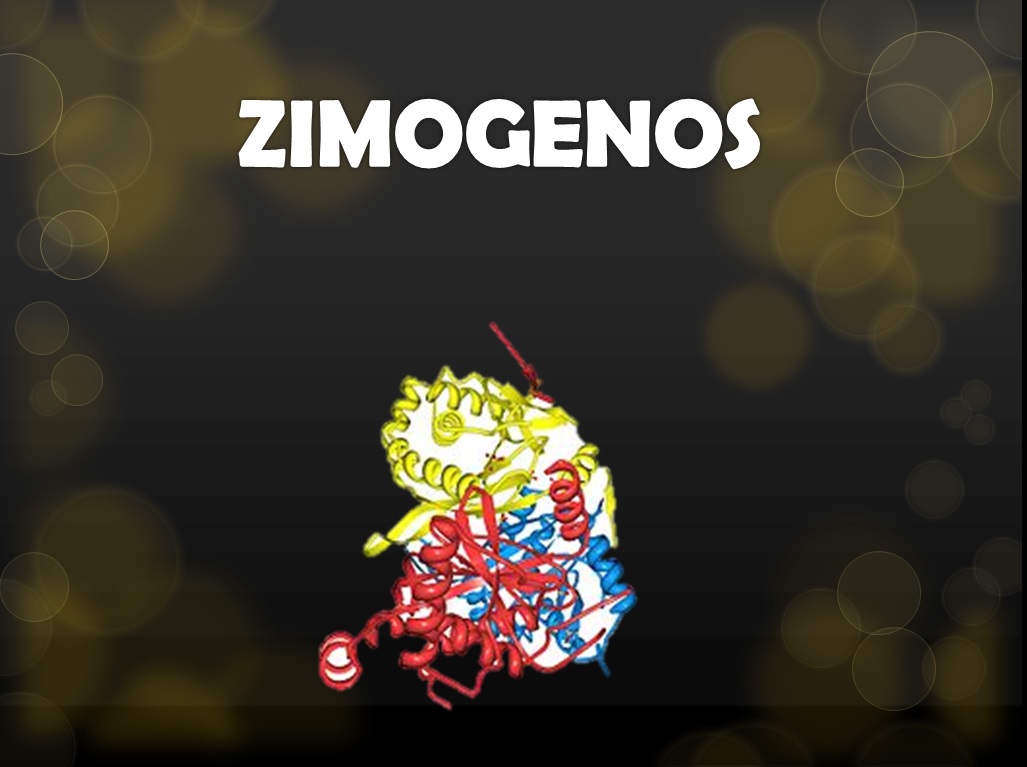 Bioquímica: Actividad 1.- Exposición del tema de ZIMÓGENOS